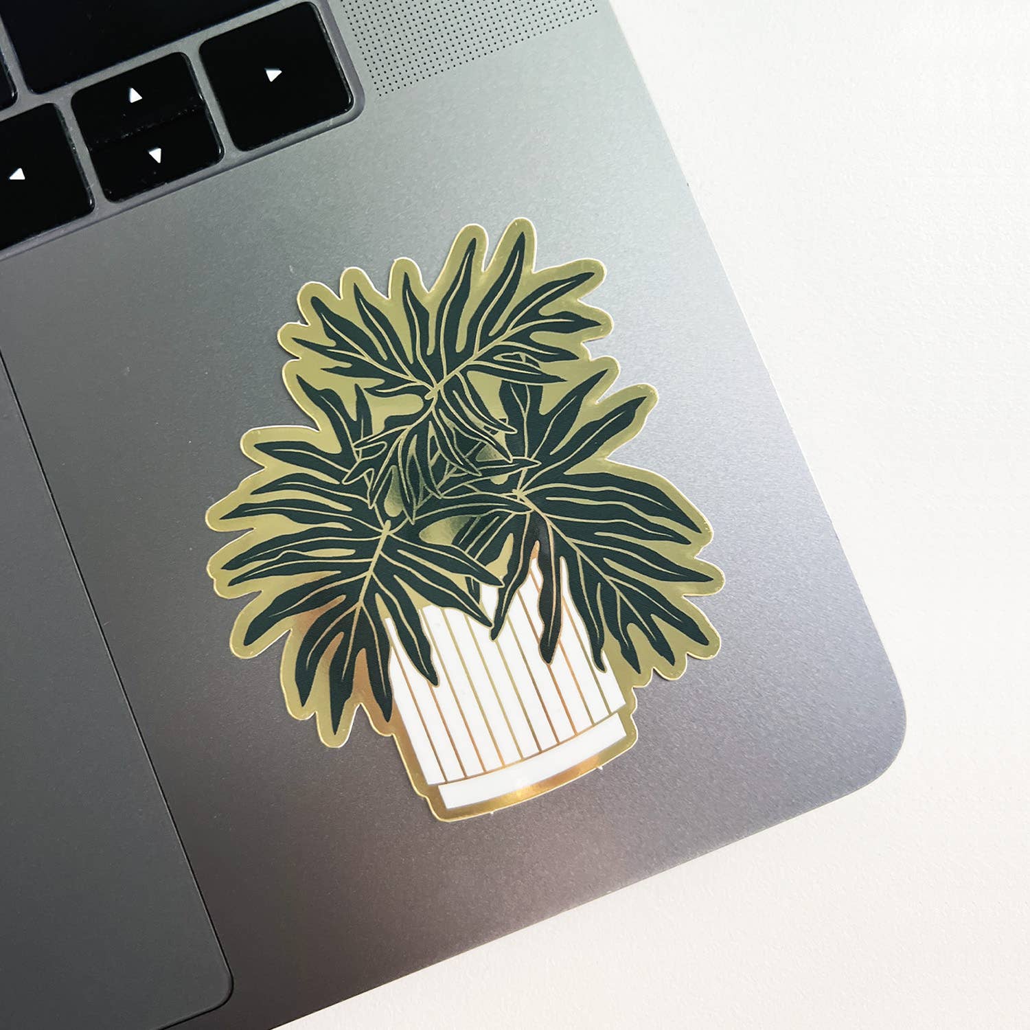 Split-Leaf Philodendron Plant Sticker – HAUS THEORY